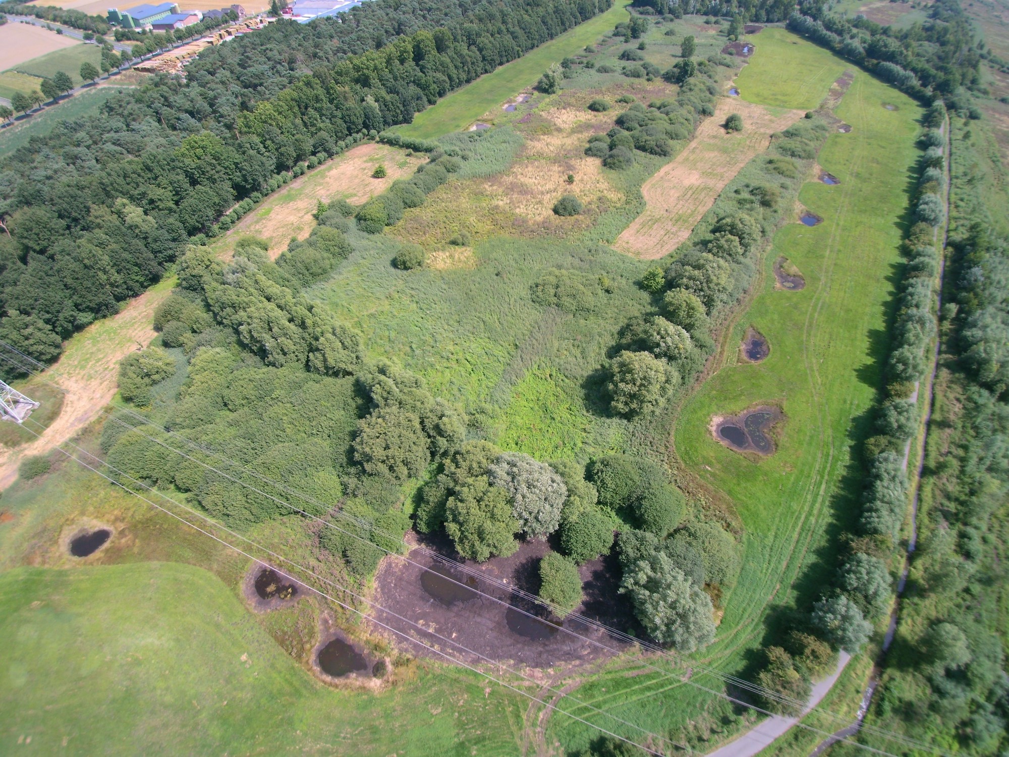 Biotope und Artenschutz – www.nabu-selfkant.de